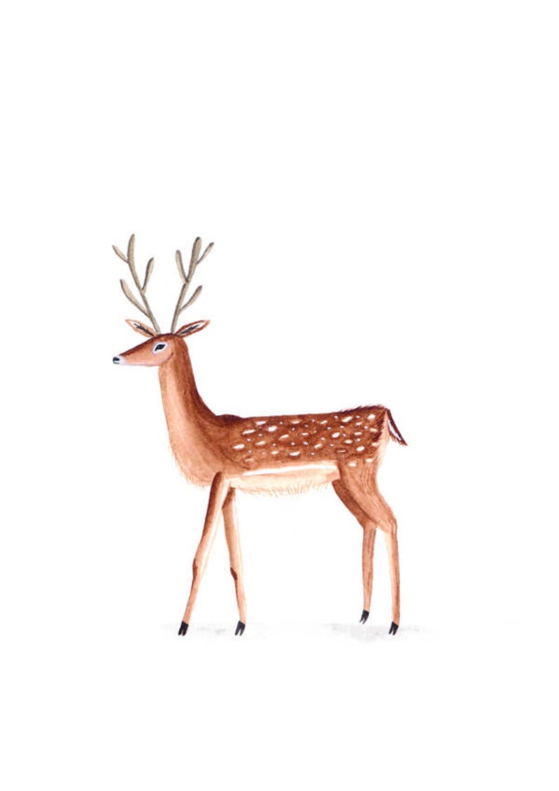 Deer Animal Print A4 Size - Etsy