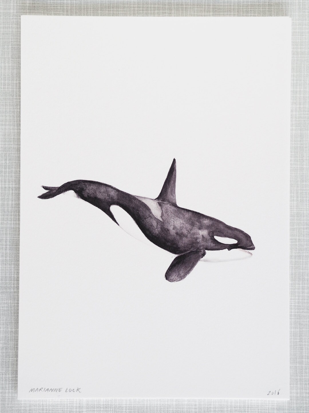 Orca Animal Print A4 Size - Etsy