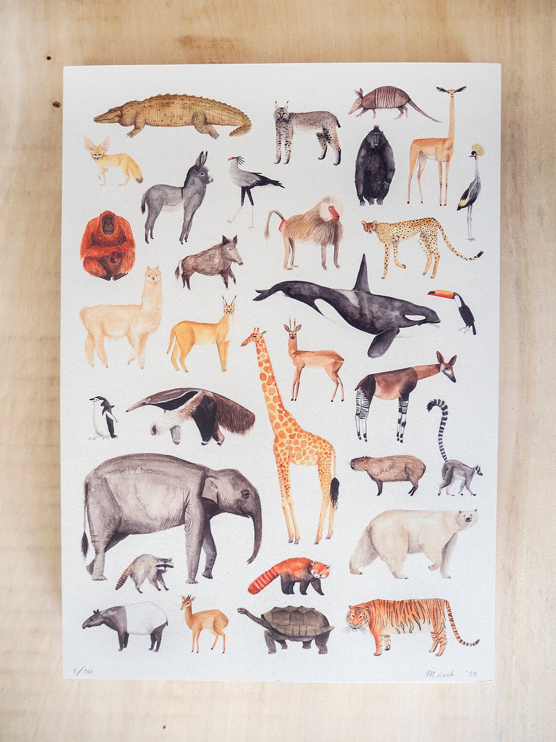 Animal Poster in A3 Size, Print on 100% Natural Recycled Paper - Etsy