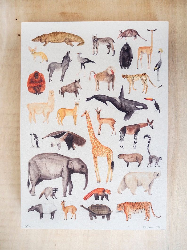 Animal Poster in A3 Size, Print on 100% Natural Recycled Paper - Etsy