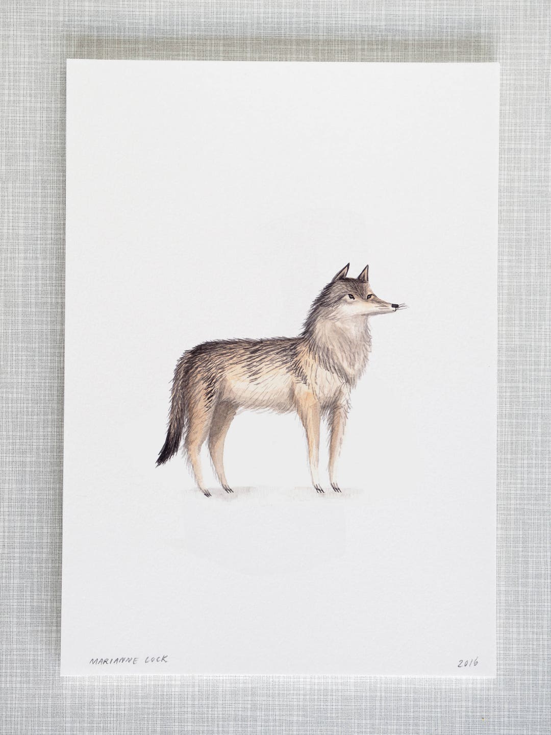 Wolf Animal Print A4 Size - Etsy
