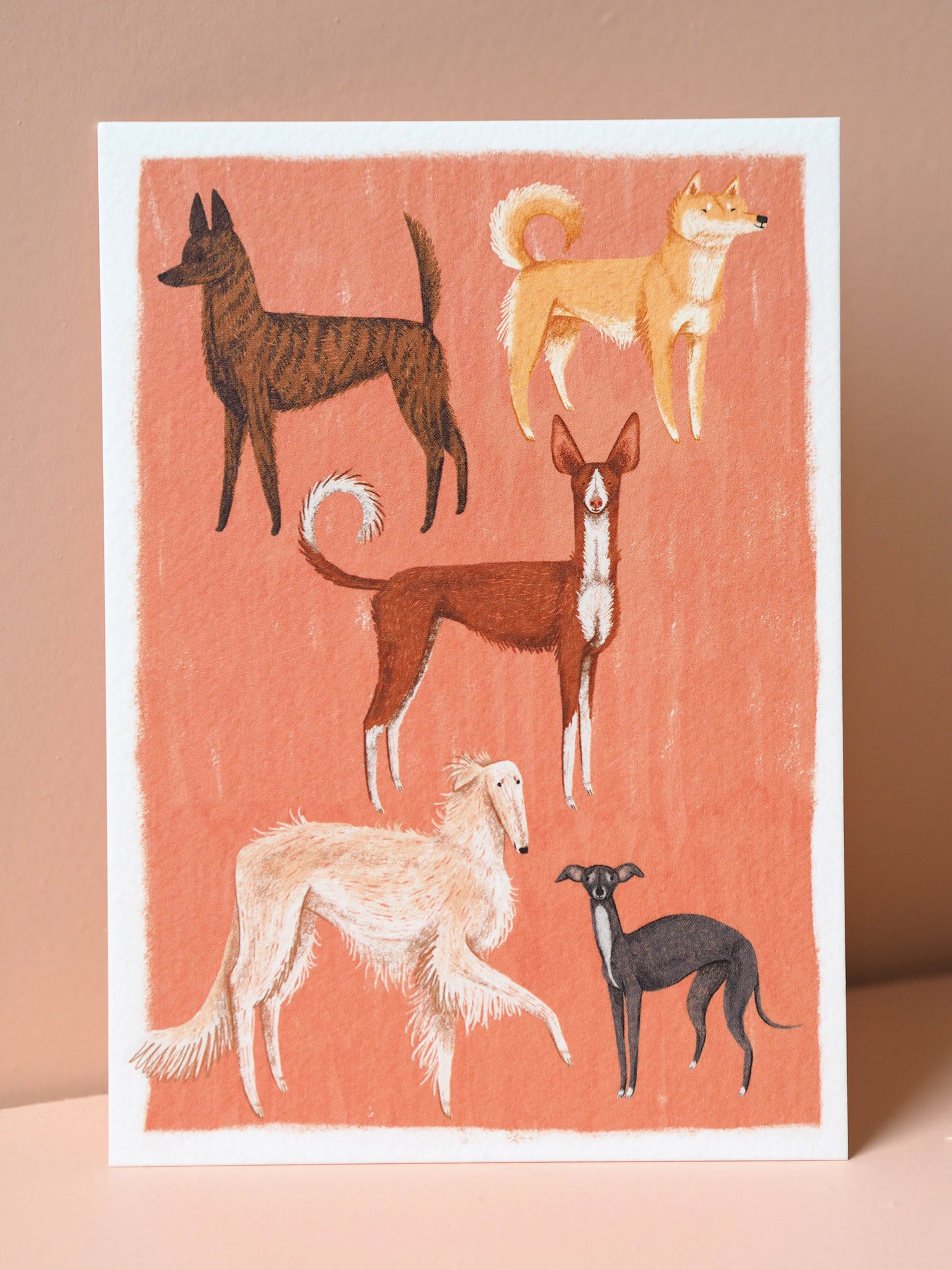 Dog Postcards, 4 Different Cards With Dog Illustrations - Etsy