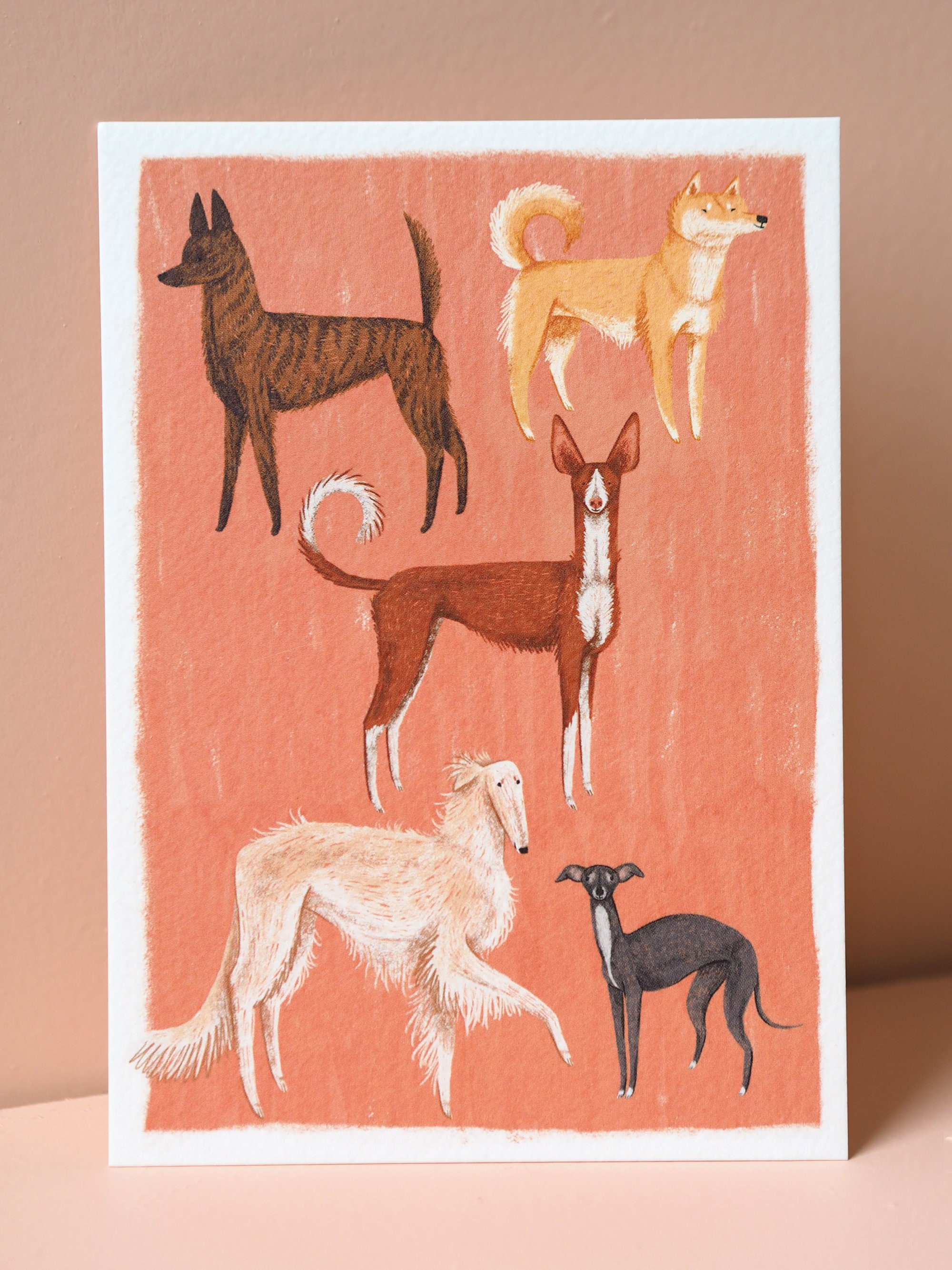 Dog Postcards, 4 Different Cards With Dog Illustrations - Etsy