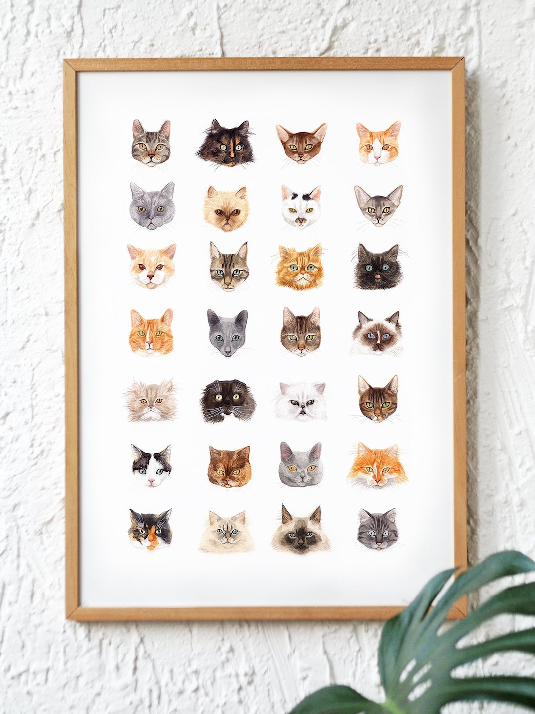 Cat Poster in A2 or A4 Size, Print With Illustration of Different Types ...