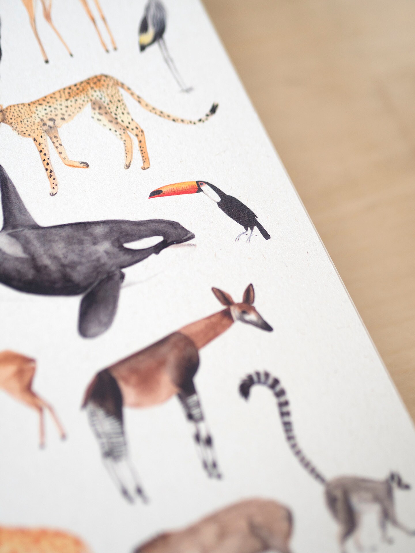 Animal Poster in A3 Size, Print on 100% Natural Recycled Paper - Etsy