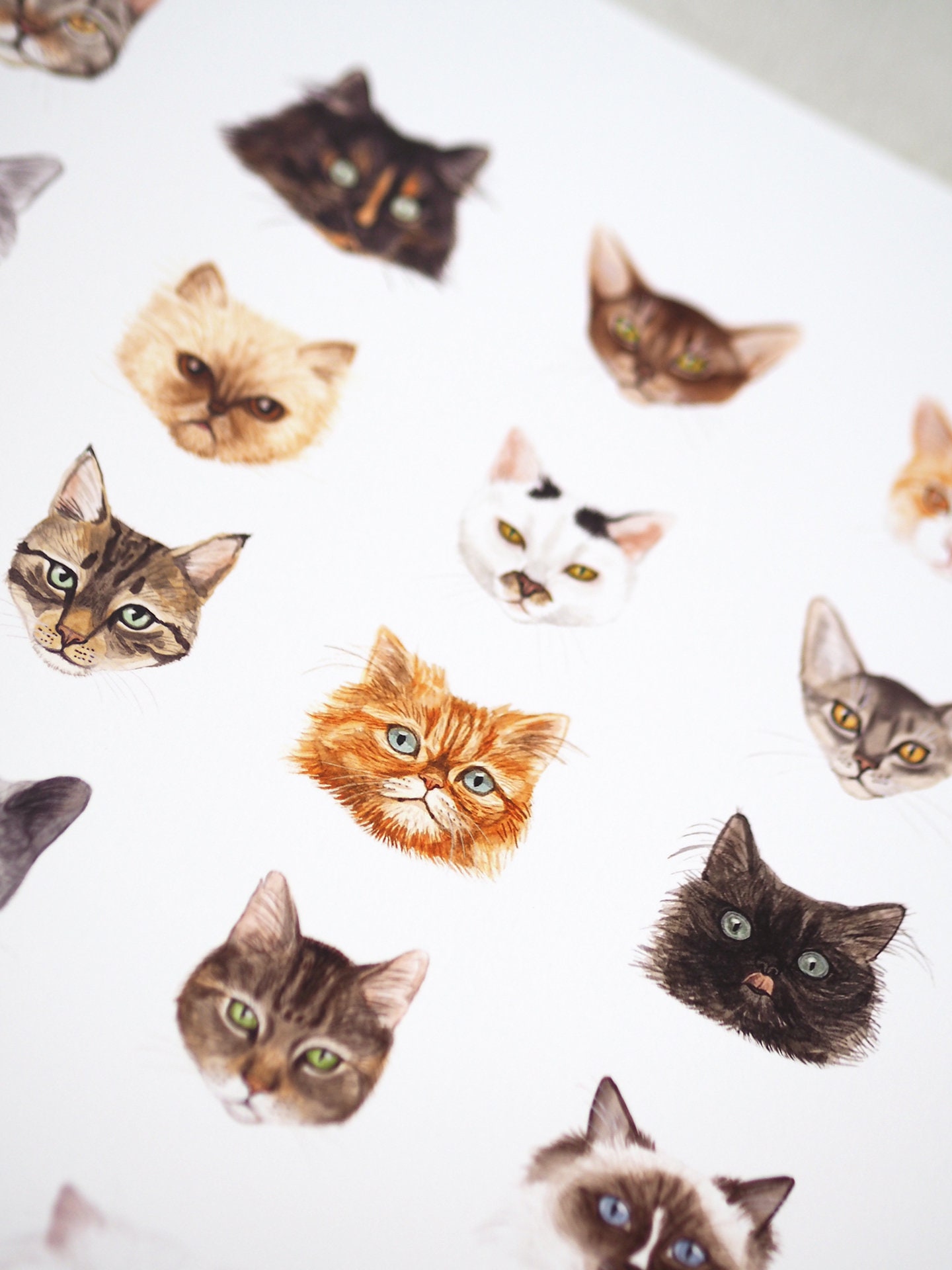 Cat Poster in A2 or A4 Size, Print With Illustration of Different Types ...