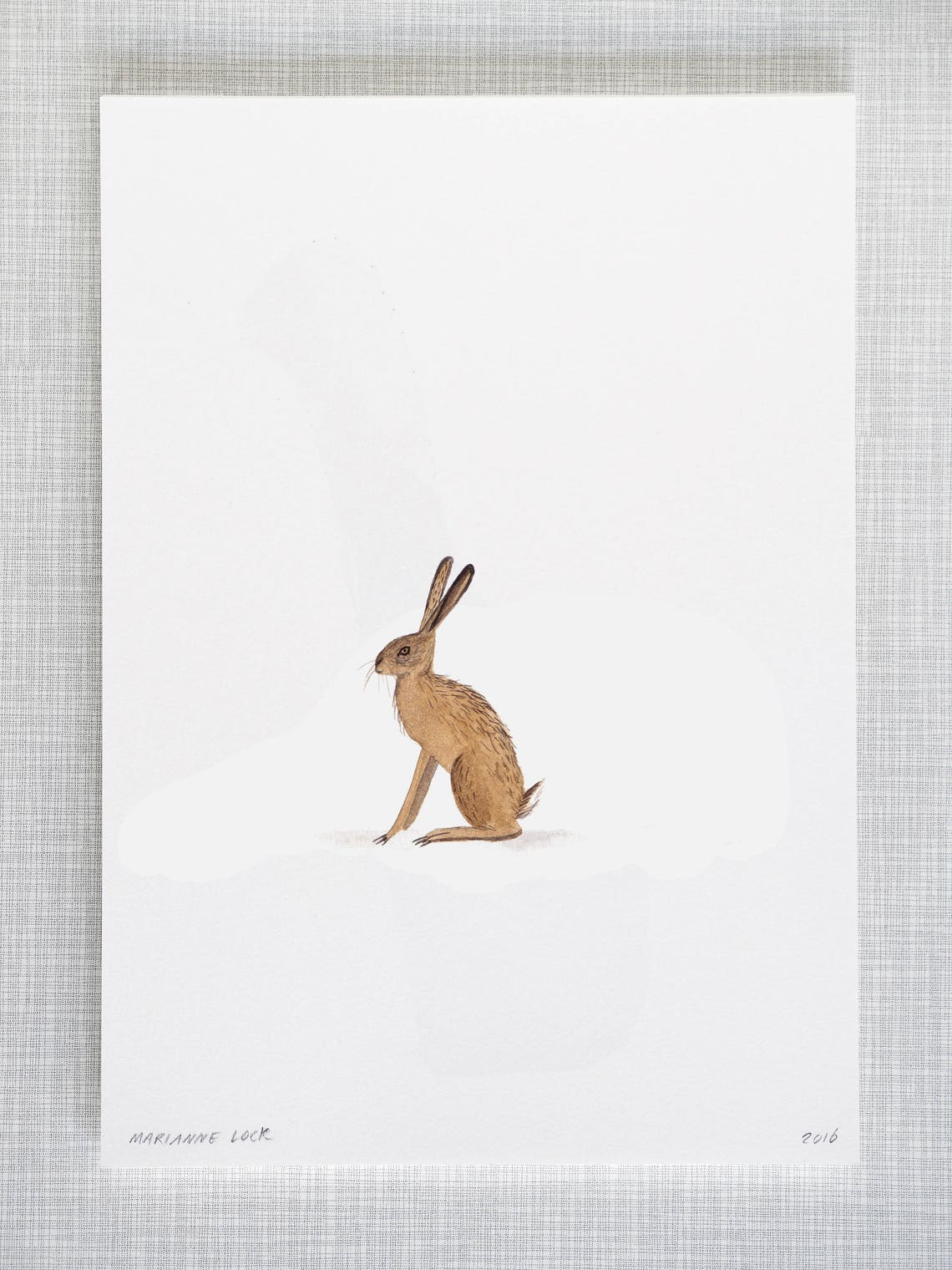 Hare Animal Print A4 Size - Etsy