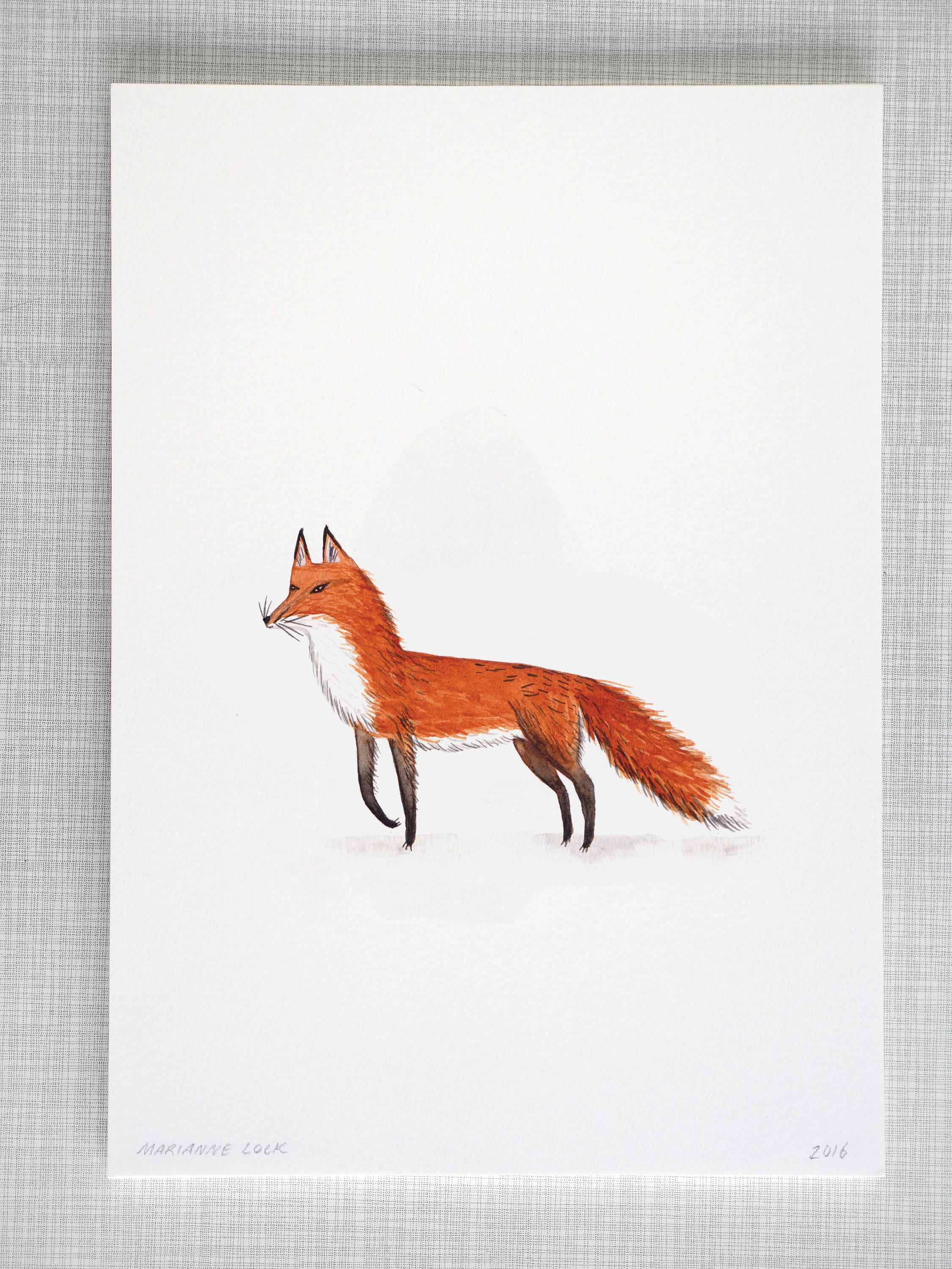 Fox Animal Print A4 Size - Etsy