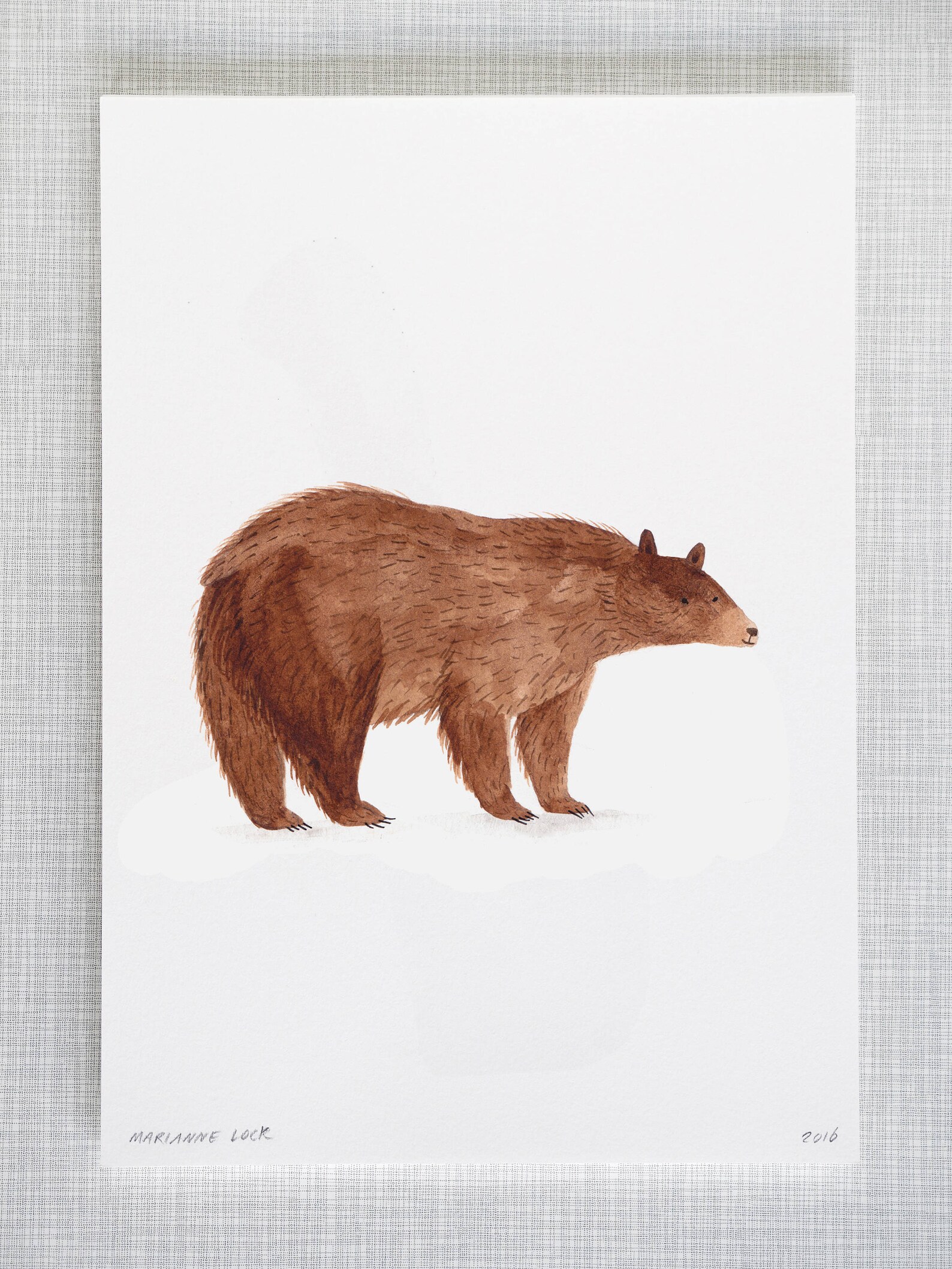 Bear Animal Print A4 Size - Etsy