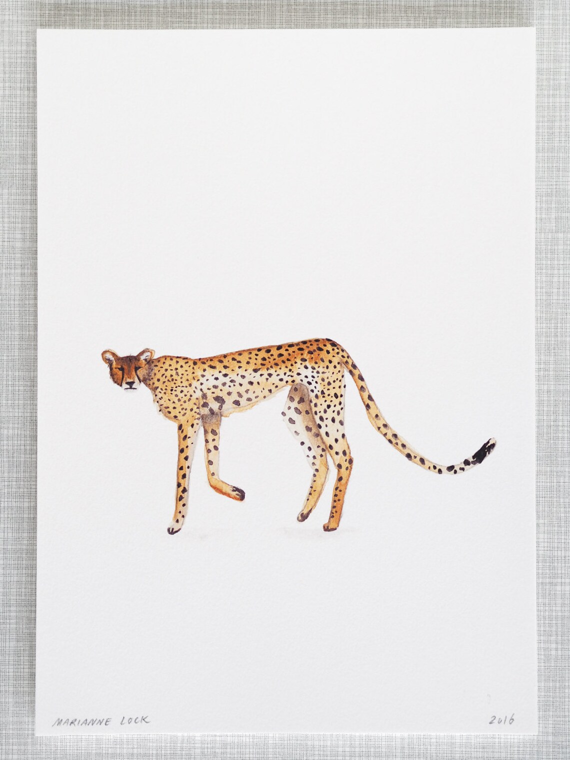 Cheetah Animal Print A4 Print - Etsy