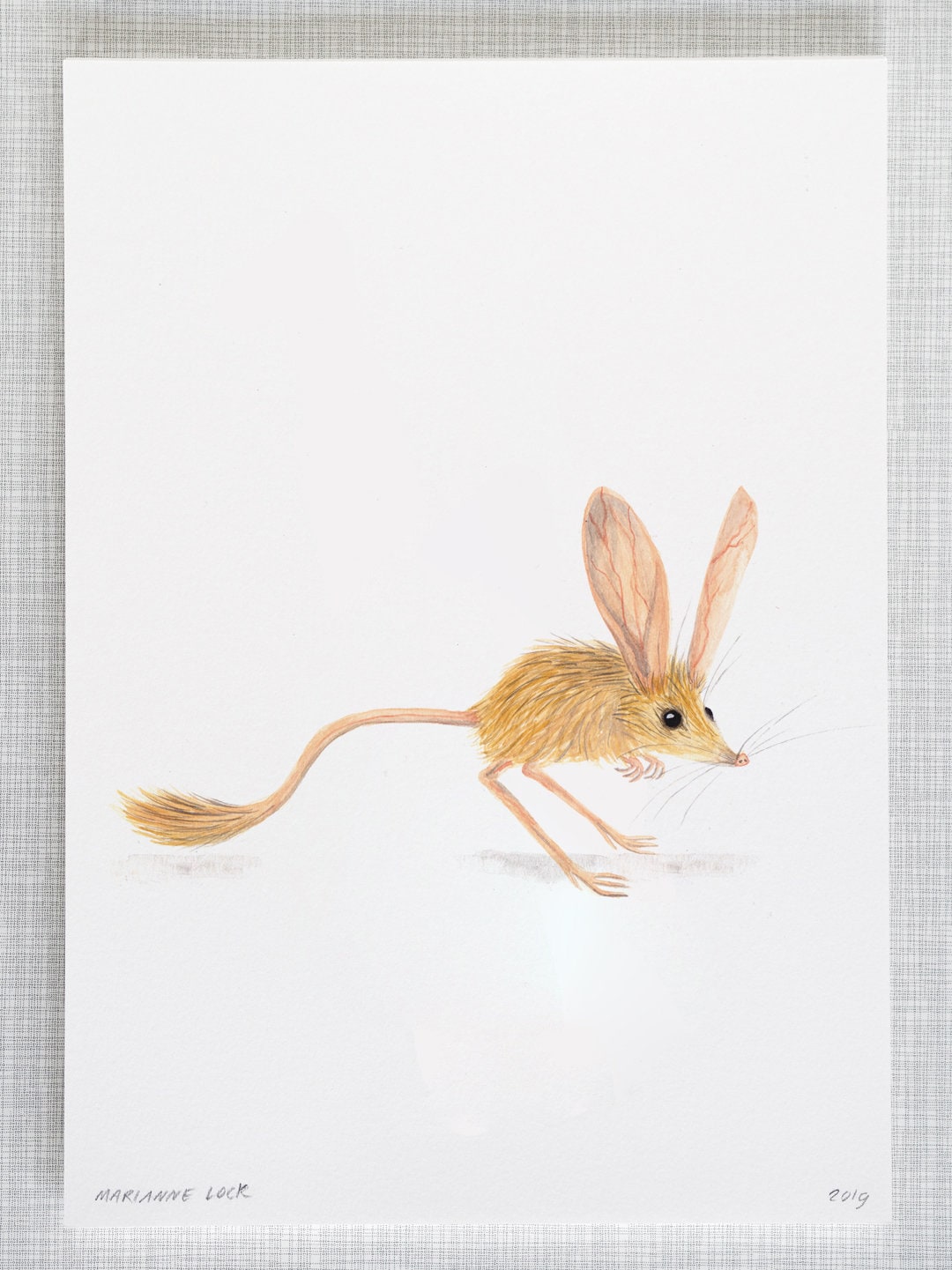 Jerboa Animal Print A4 Size - Etsy