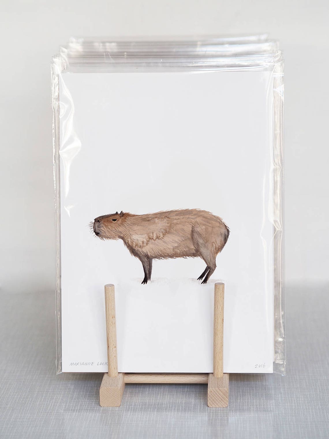 Capybara Animal Print A4 Size - Etsy