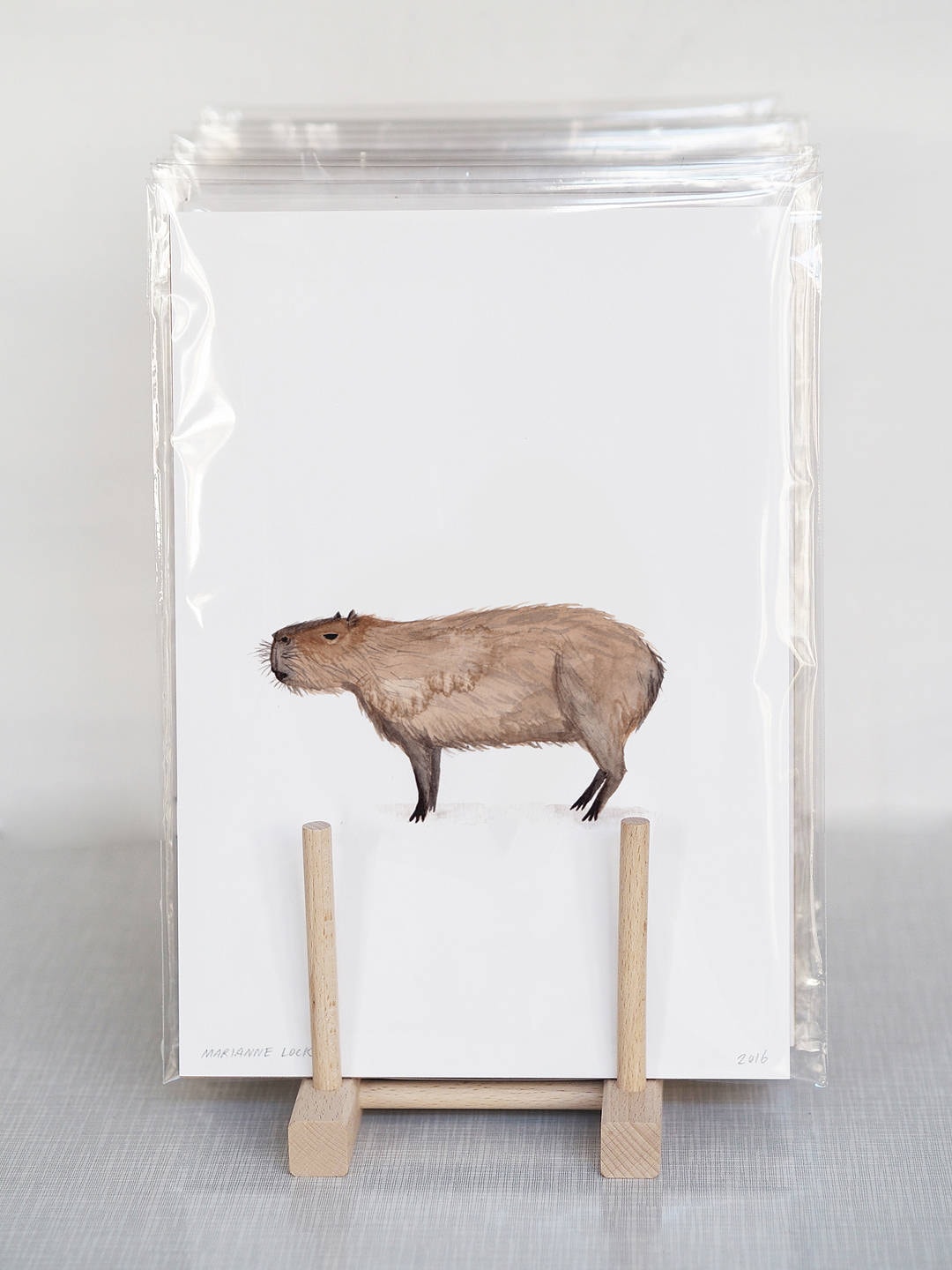 Capybara Animal Print A4 Size - Etsy