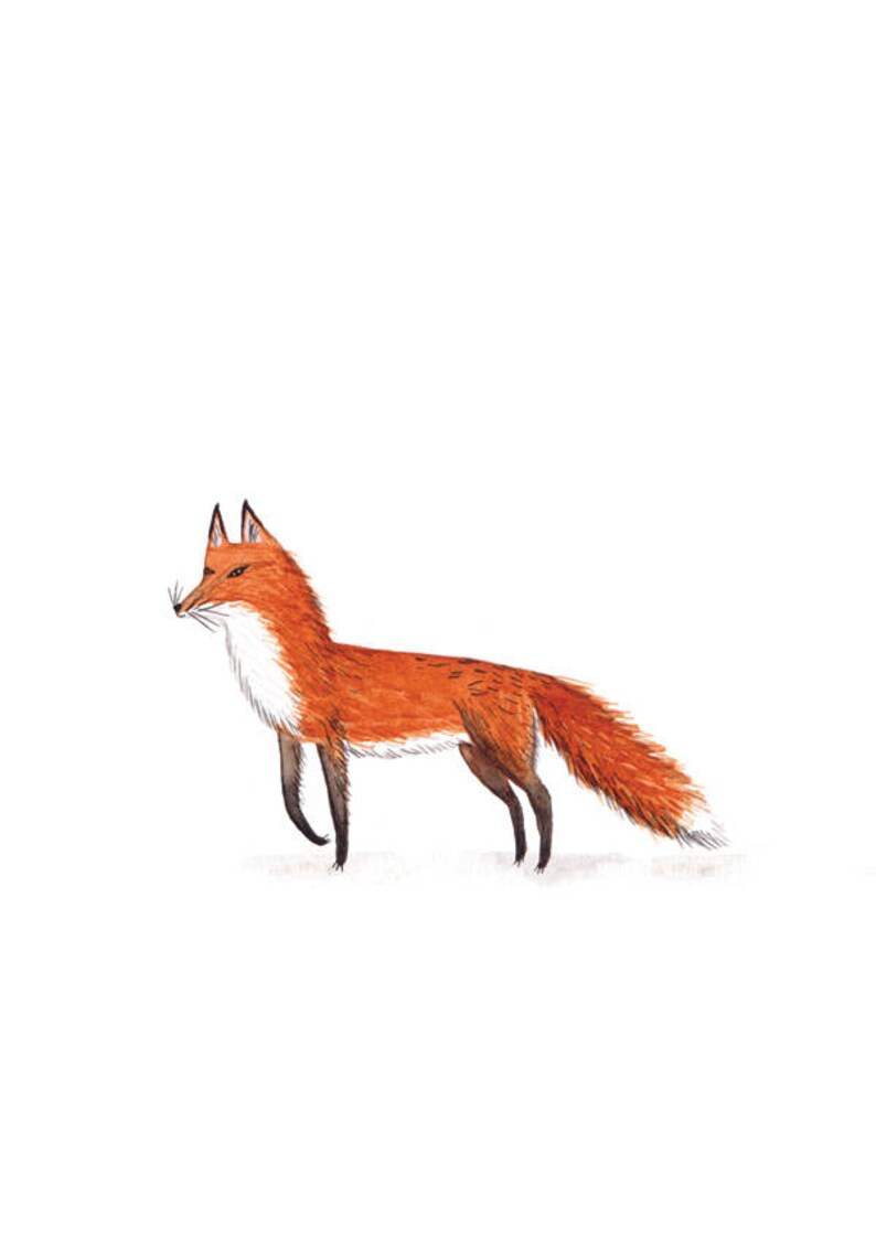 Fox Animal Print A4 Size - Etsy
