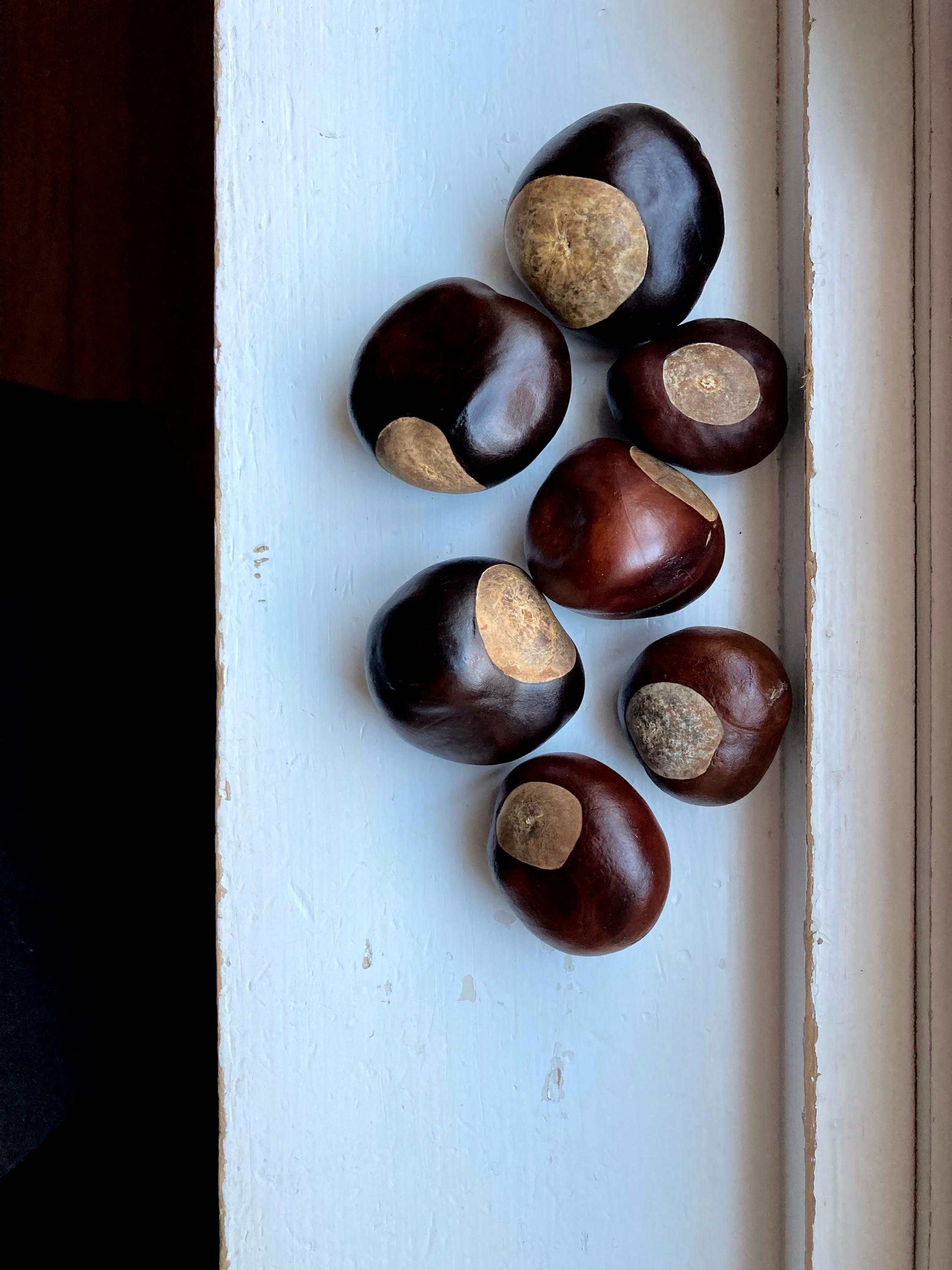 Buckeye Nuts - Home-grown - Real- Ohio - Large - Different-shapes ...