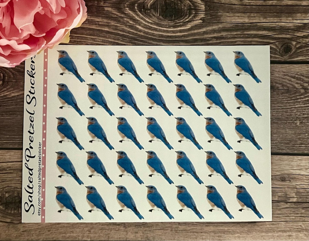 Bluebird Stickers, 35 Count Sheet - Etsy