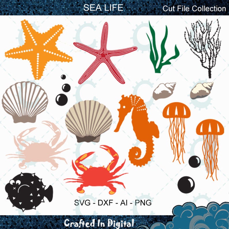 Sea Life Cut File Collection Svg/dxf/ai/png Files Suitable - Etsy