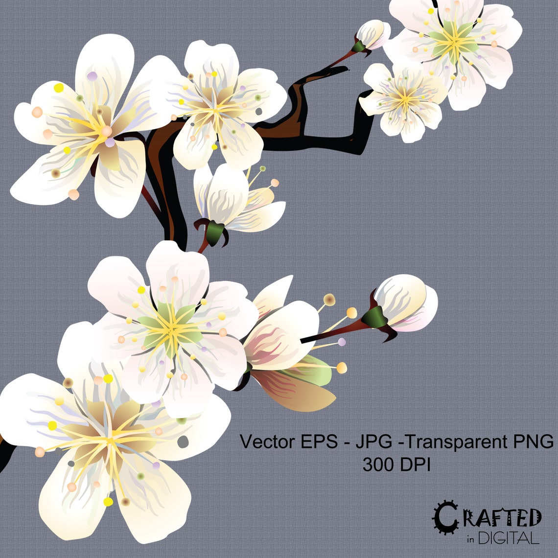 White Sakura/cherry Blossom Clipart Collection - Etsy