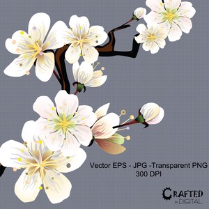 White Sakura/cherry Blossom Clipart Collection - Etsy