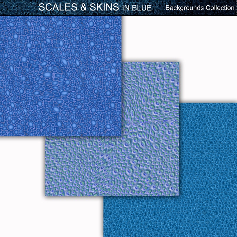 Scales & Skins in Blue - Dragon, Mermaid, Fish and Snake Textures ...