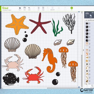 Sea Life Cut File Collection - Svg/dxf/ai/png Files Suitable for Cricut ...