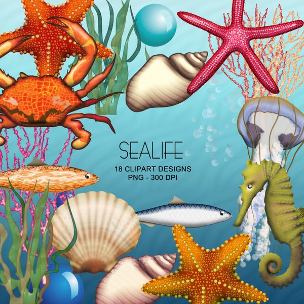 Sealife Clipart - Etsy Australia