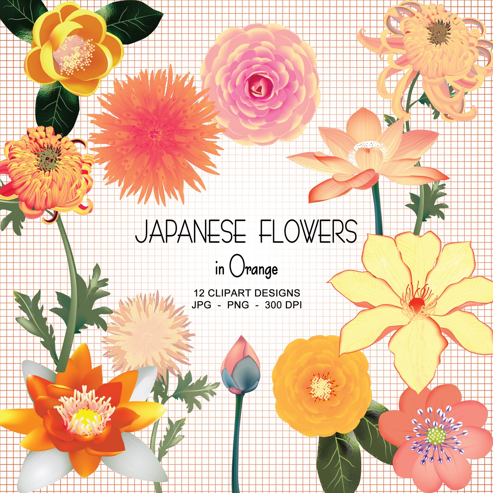 Orange Japanese Flower Clipart Collection - Etsy