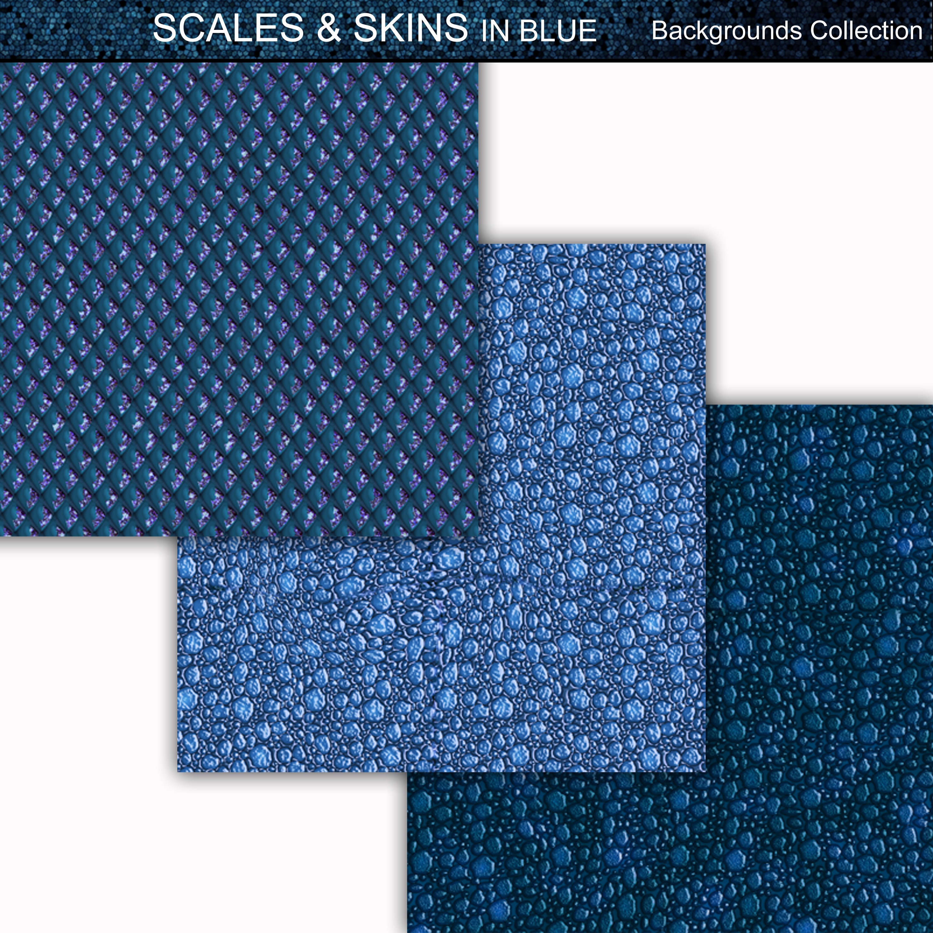 Scales & Skins in Blue Dragon Mermaid Fish and Snake - Etsy