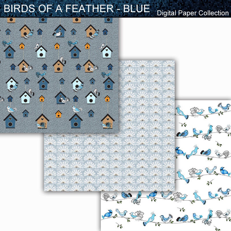 Birds of A Feather in Blue - Digital Paper Collection 12x12 - Etsy