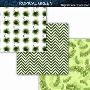 Tropical Green - Digital Paper Collection 12x12 - Etsy