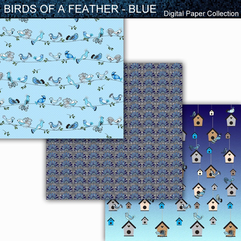 Birds of A Feather in Blue - Digital Paper Collection 12x12 - Etsy