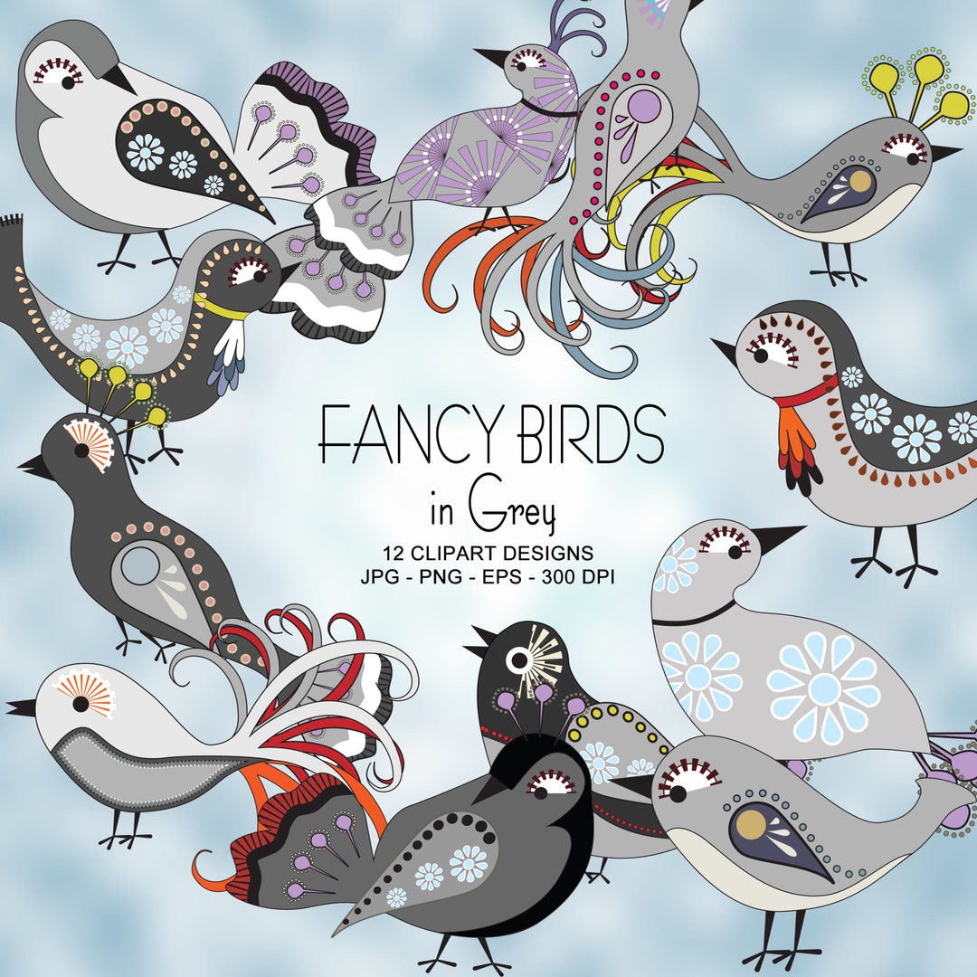 Fancy Birds in Grey Clipart Collection - Etsy
