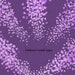 25 Purple Confetti Borders, Frames and Overlays - Circle, Star, Flower ...