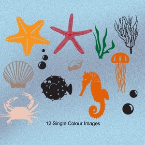 Sea Life Cut File Collection - Svg/dxf/ai/png Files Suitable for Cricut ...