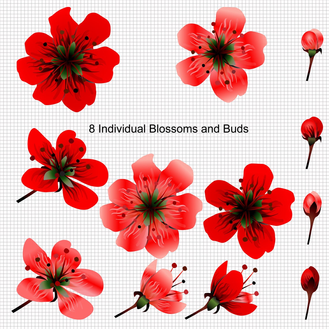Red Sakura/cherry Blossom EPS JPG PNG Sakura Flowers - Etsy