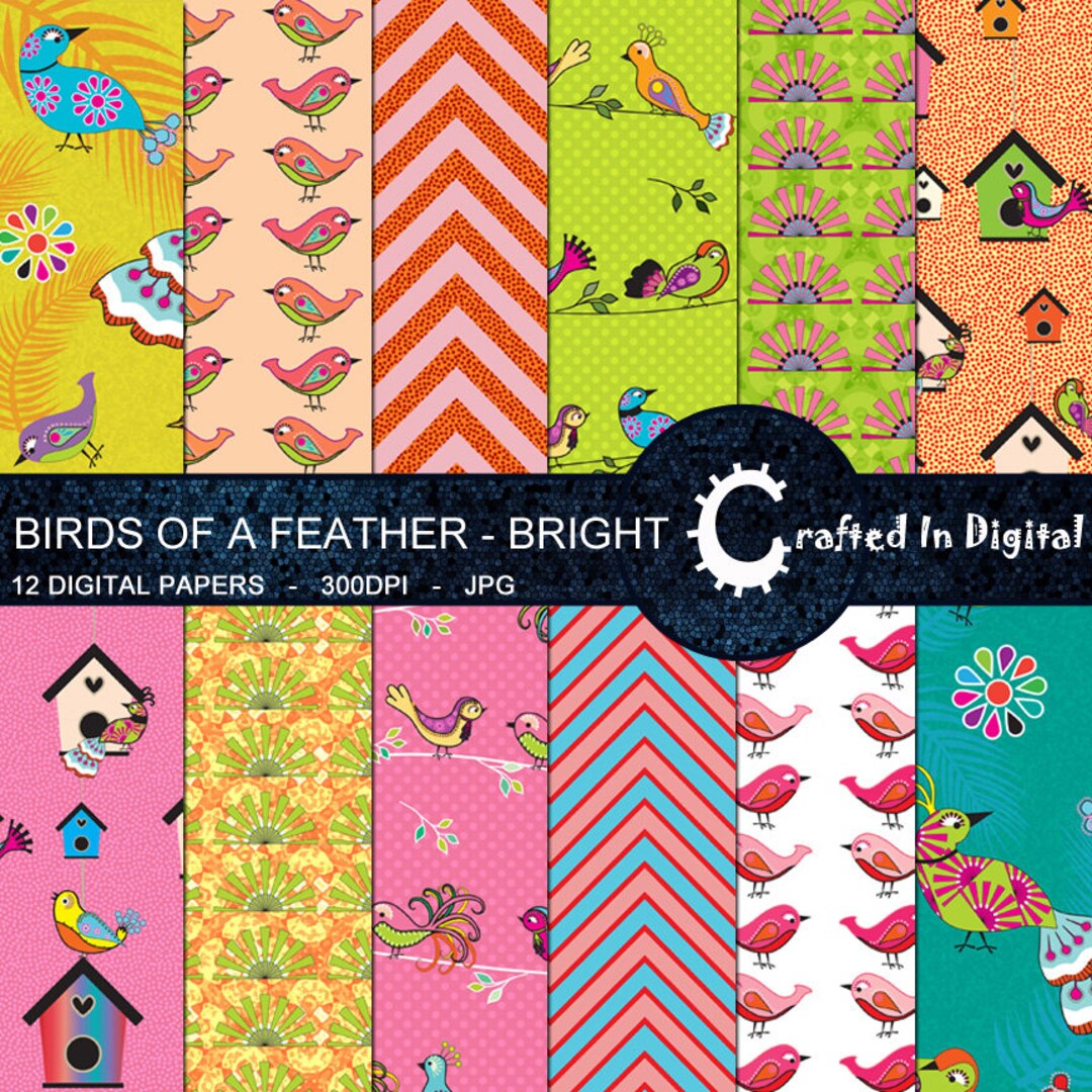 Colourful Birds of A Feather - Digital Paper Collection 12x12 - Etsy
