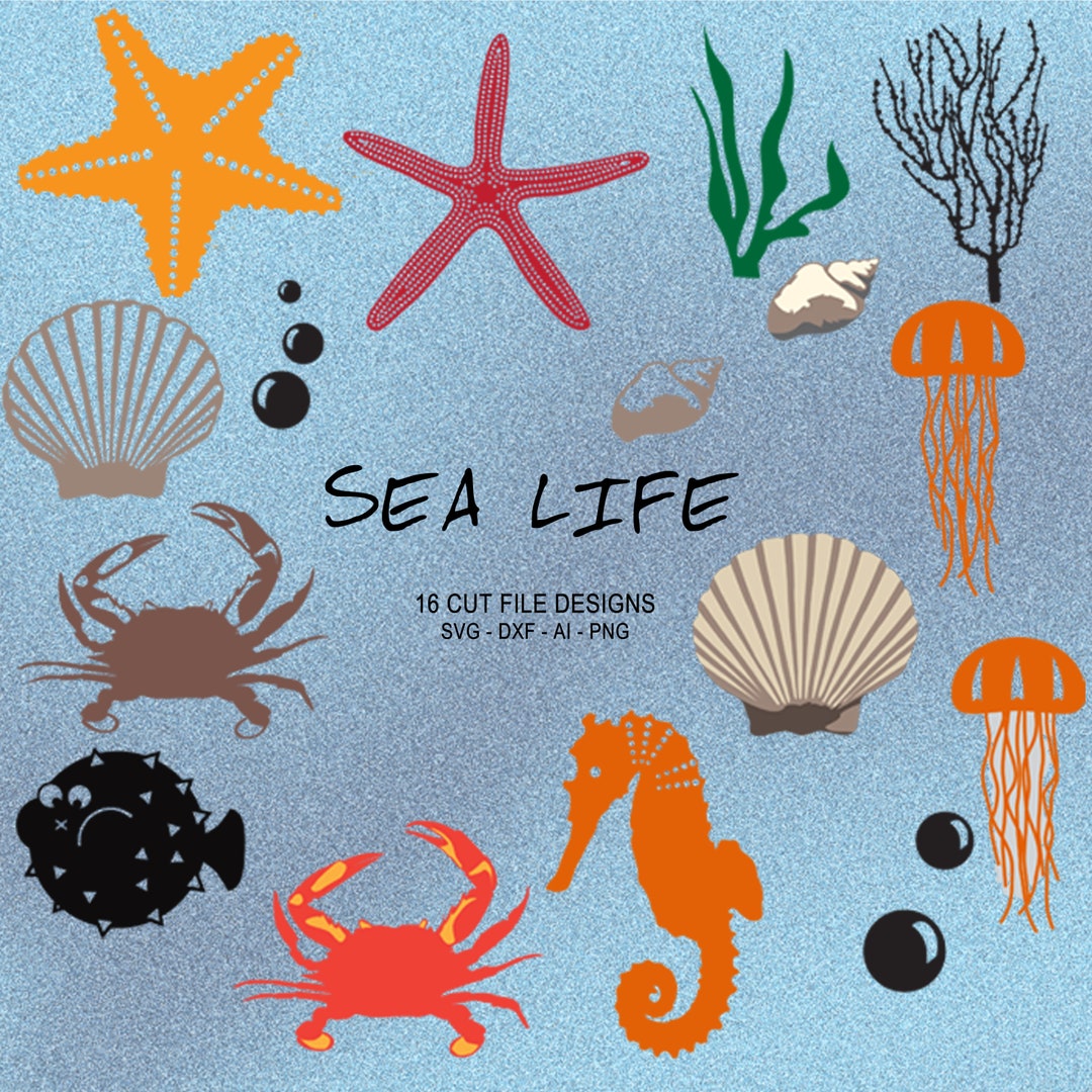 Sea Life Cut File Collection - Svg/dxf/ai/png Files Suitable for Cricut ...