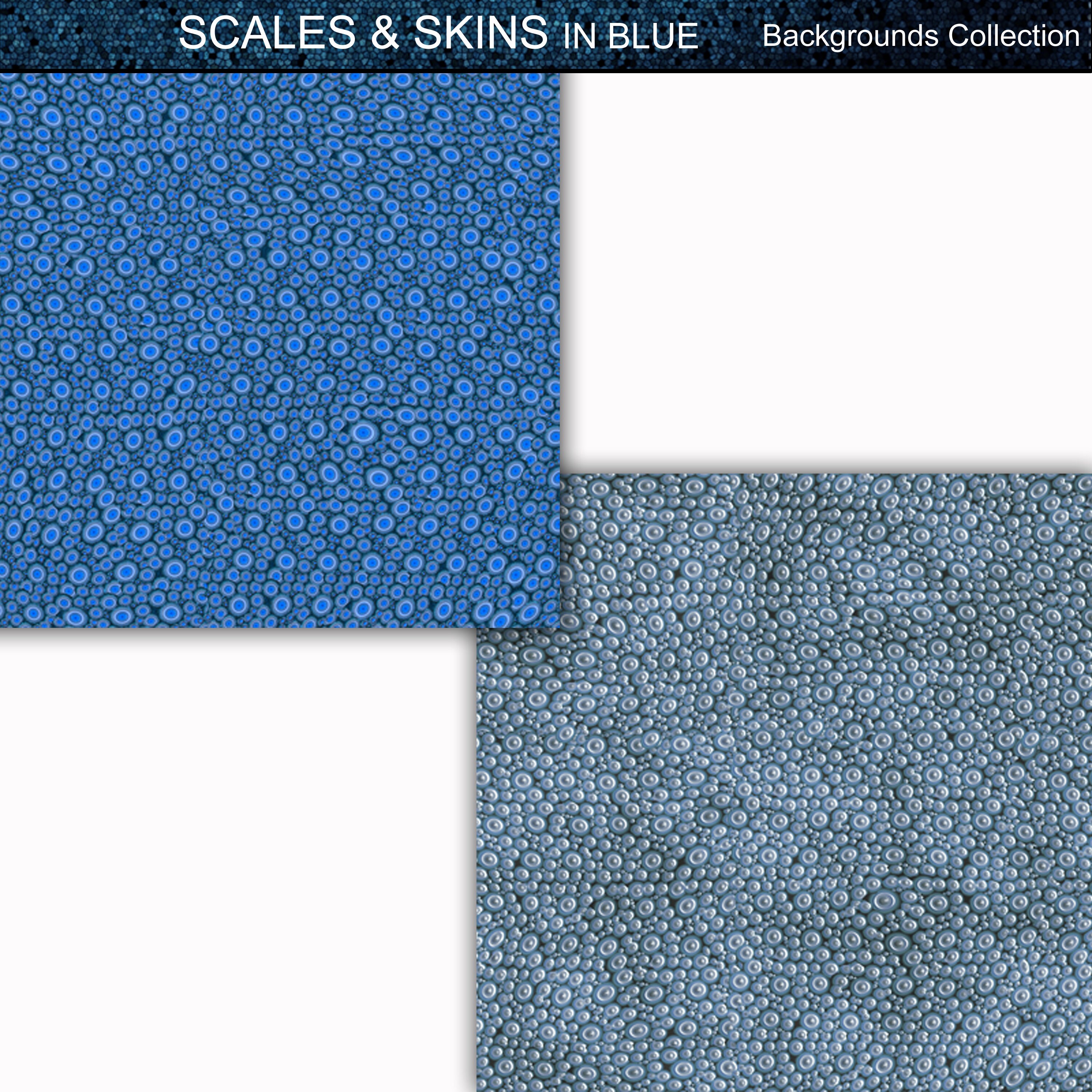 Scales & Skins in Blue Dragon Mermaid Fish and Snake - Etsy
