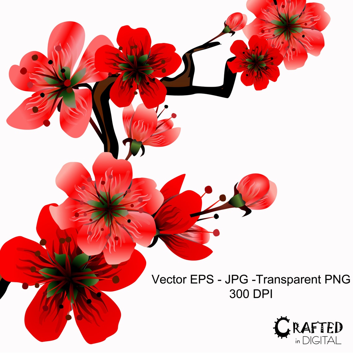 Red Sakura/cherry Blossom EPS JPG PNG Sakura Flowers - Etsy