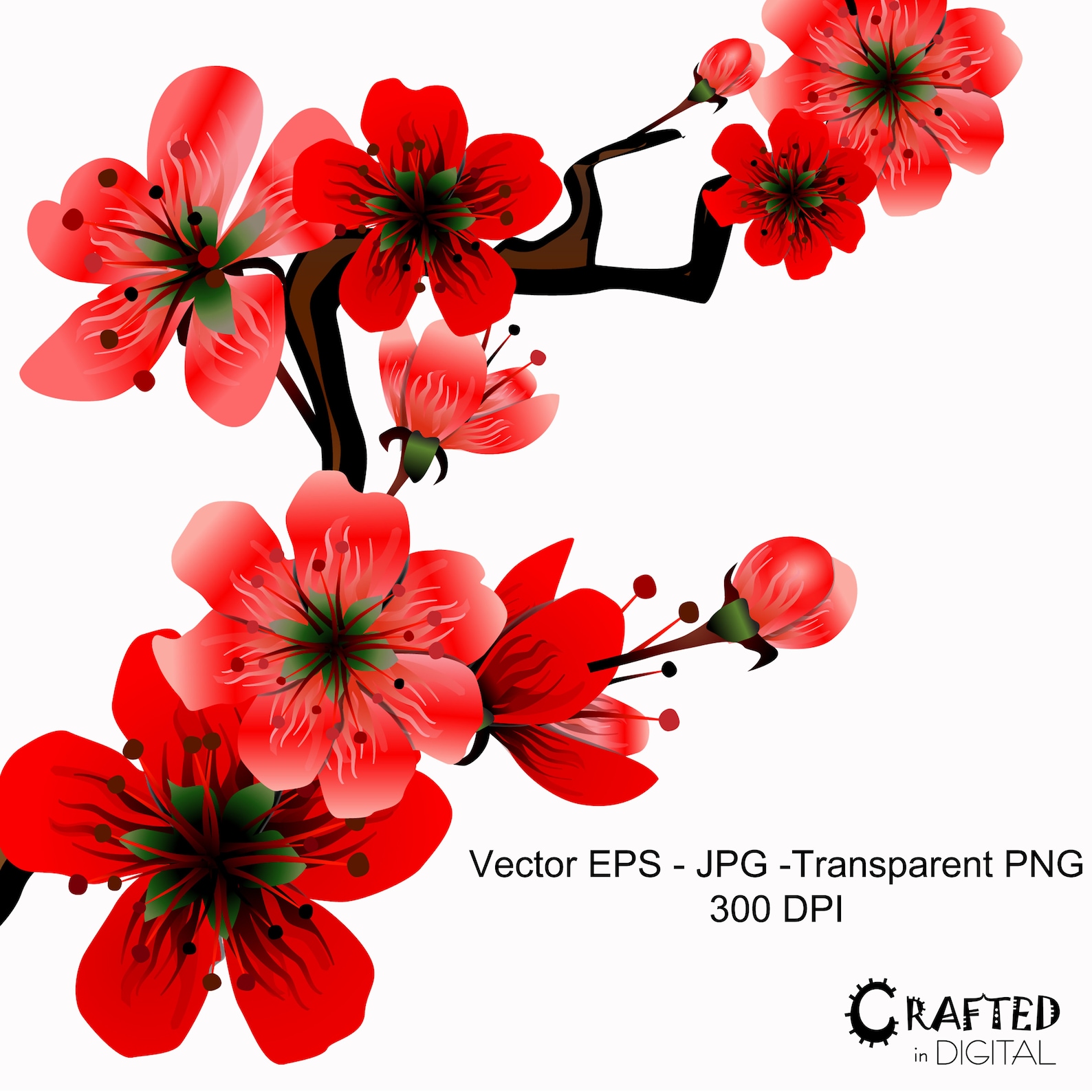 Red Sakura/cherry Blossom EPS JPG PNG Sakura Flowers - Etsy