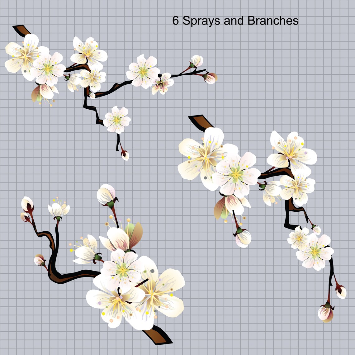 White Sakura/cherry Blossom Clipart Collection - Etsy