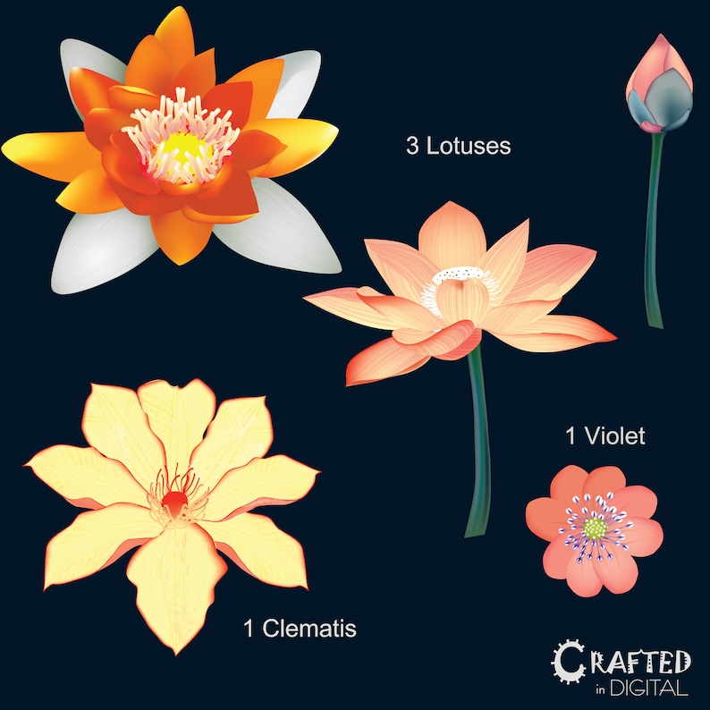 Orange Japanese Flower Clipart Collection - Etsy
