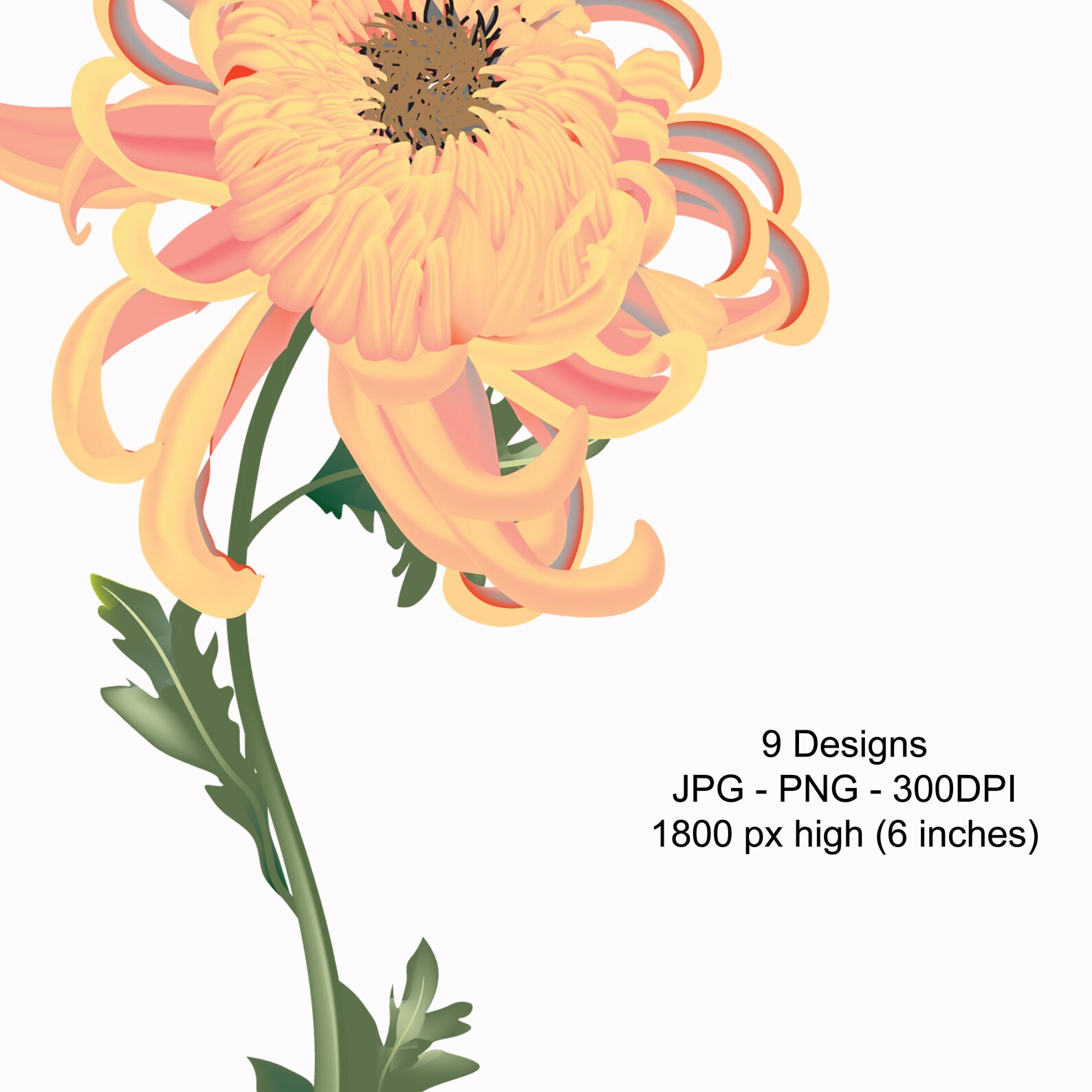 Orange Japanese Flower Clipart Collection - Etsy
