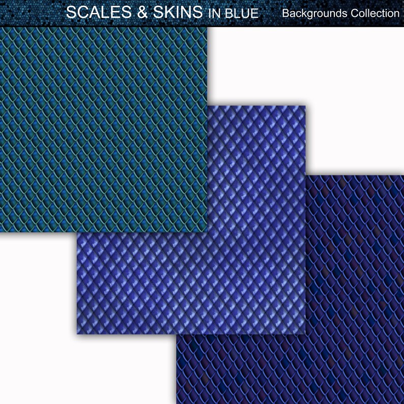 Scales & Skins in Blue - Dragon, Mermaid, Fish and Snake Textures ...