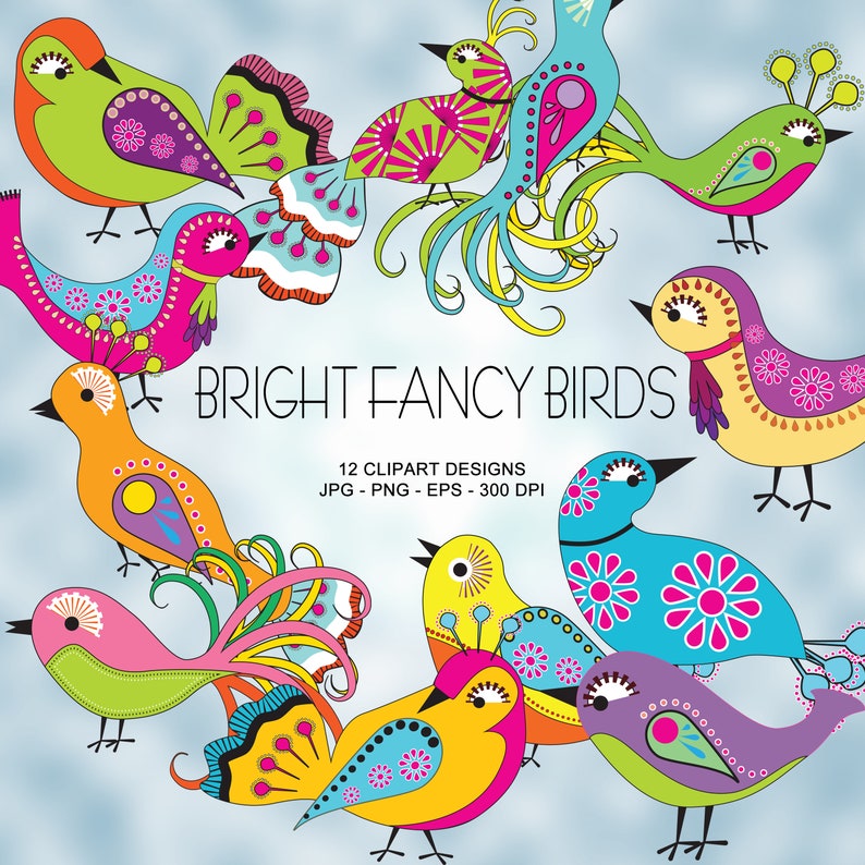 Bright Fancy Birds Clipart Collection | Etsy