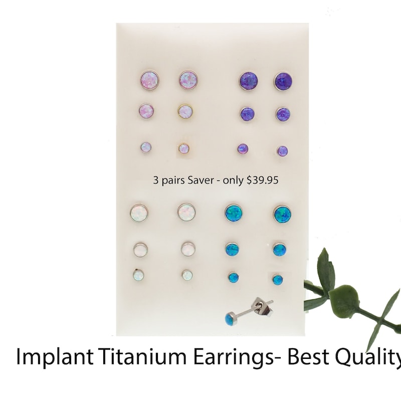 Titanium Earrings - Etsy