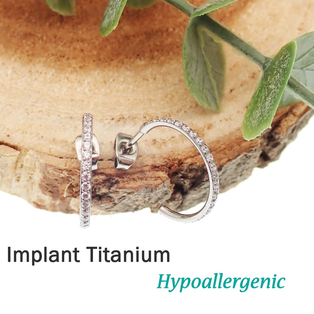 Implant Titanium CZ Hoop Earrings , Ideal for Sensitive Ears- Sold in ...