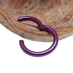 12g ,10g ,8g or 6g Implant Grade Titanium Hinged Clicker Segment Ring ...