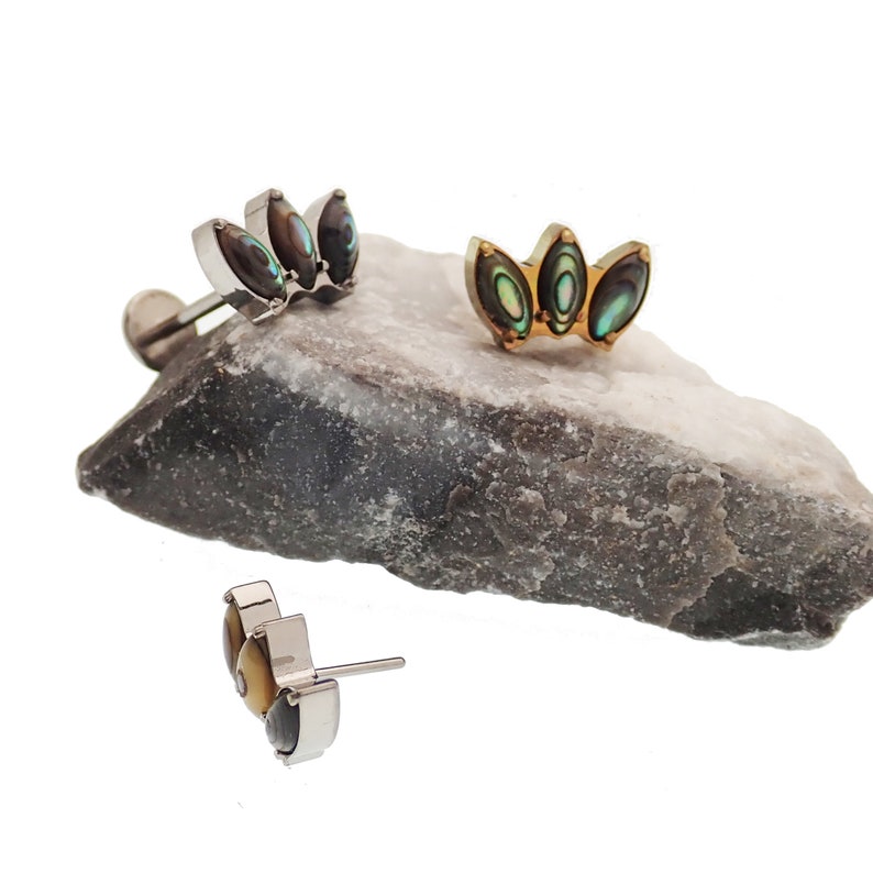 Implant Titanium Alabone Shell ,threadless Pin Push Fit Piercing, Petal ...