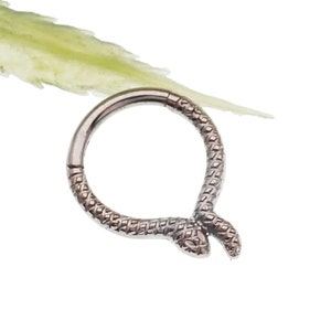 Titanium Etched Snake Implant Titanium 8mm Clicker 16g (septum, Helix ...
